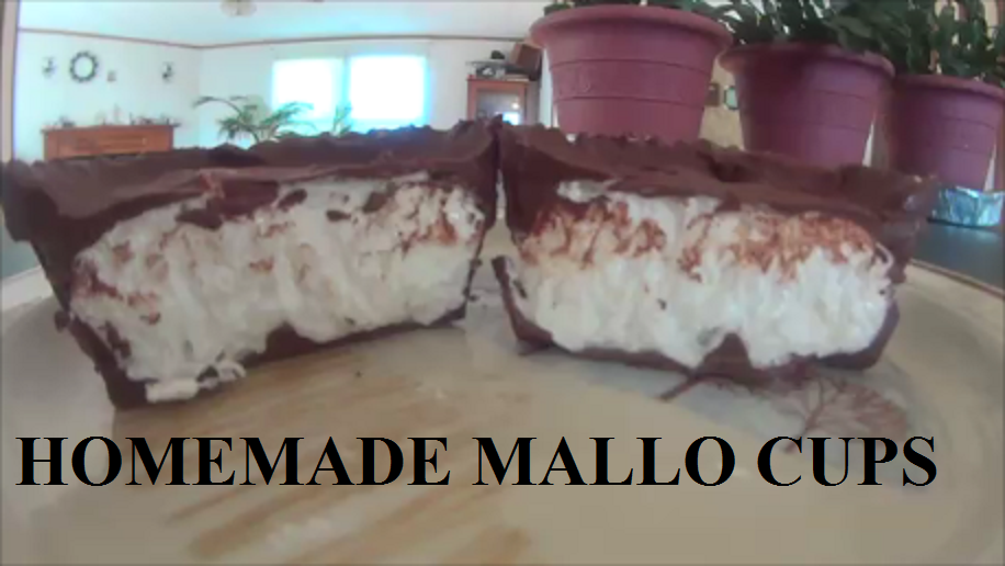 Welcome To Jen's World: HOMEMADE MALLO CUPS