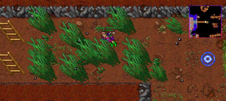 Tutorial: Cults of Tibia - The Strenghtening of the Minotaurs #SU17 ...