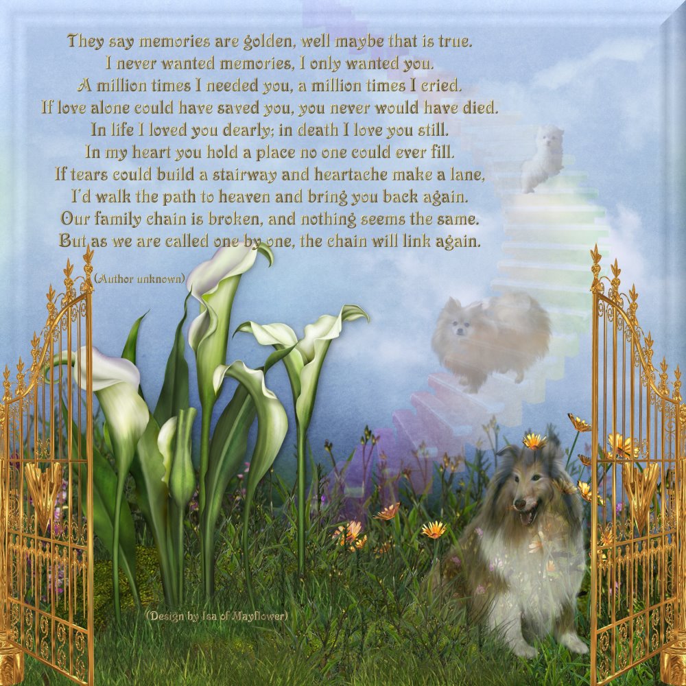 Hundegedichte & mehr / Dog poems & more: They say memories are golden (2)