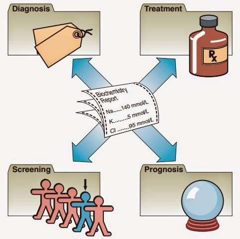 The clinical biochemistry laboratory | Tuyenlab