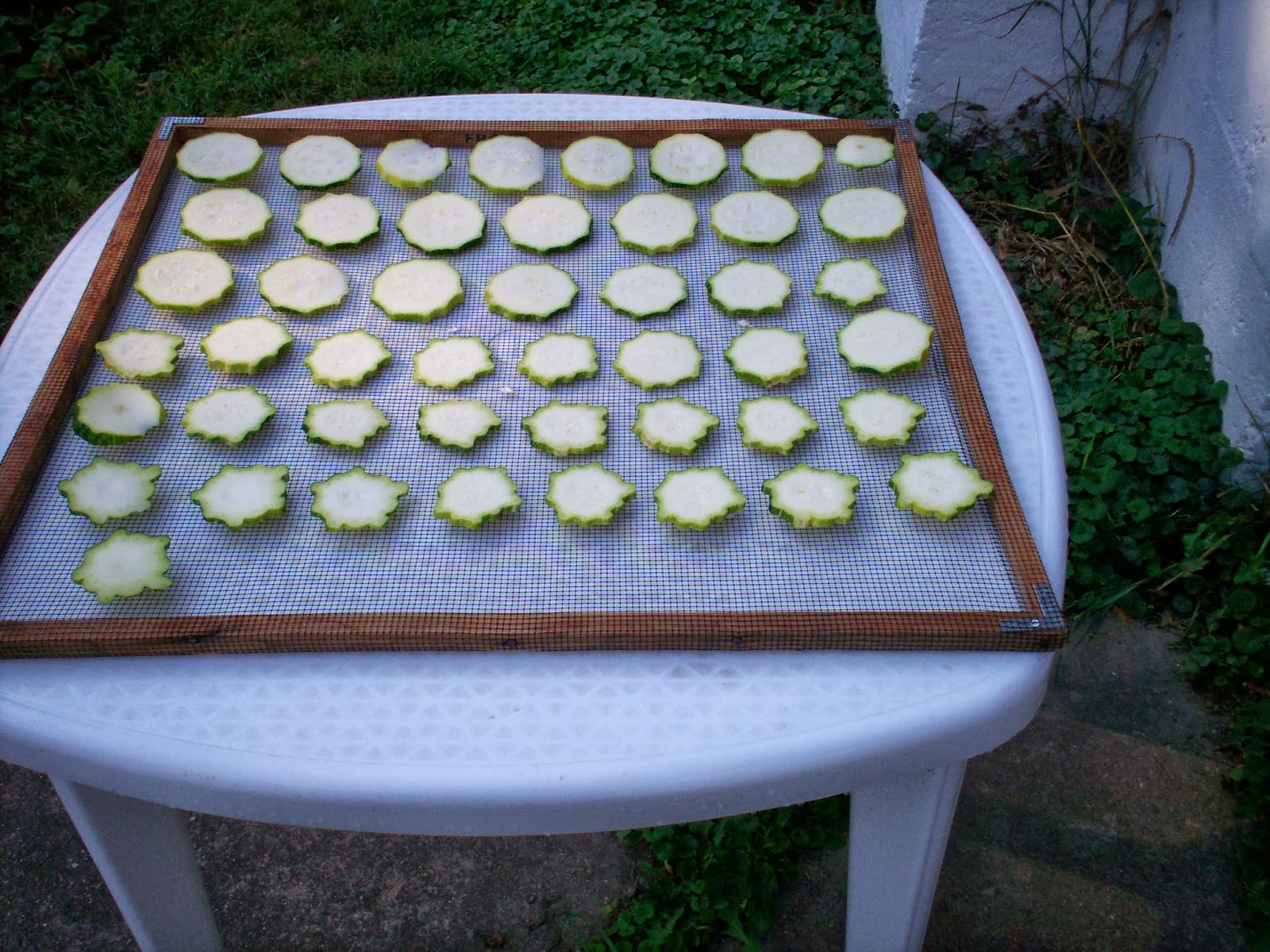 Preserving the Harvest: Learn why and how to use the sun to dehydrate ...
