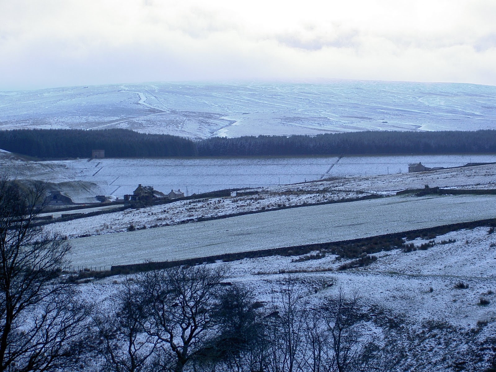 Heather in Cowshill: Burnhope in the snow