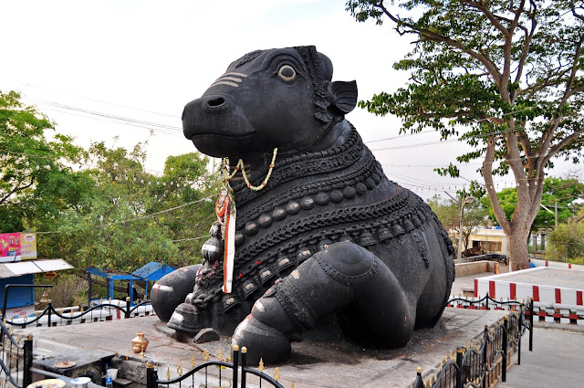 Lord Nandi Photos | Lord Nandi Images | Lord Nandi HD Wallpapers | Lord ...