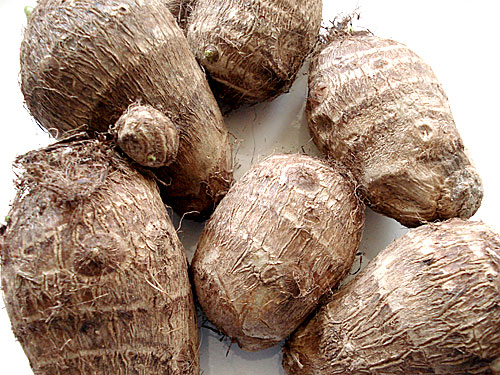 Las Aventuras: Elephant Ears