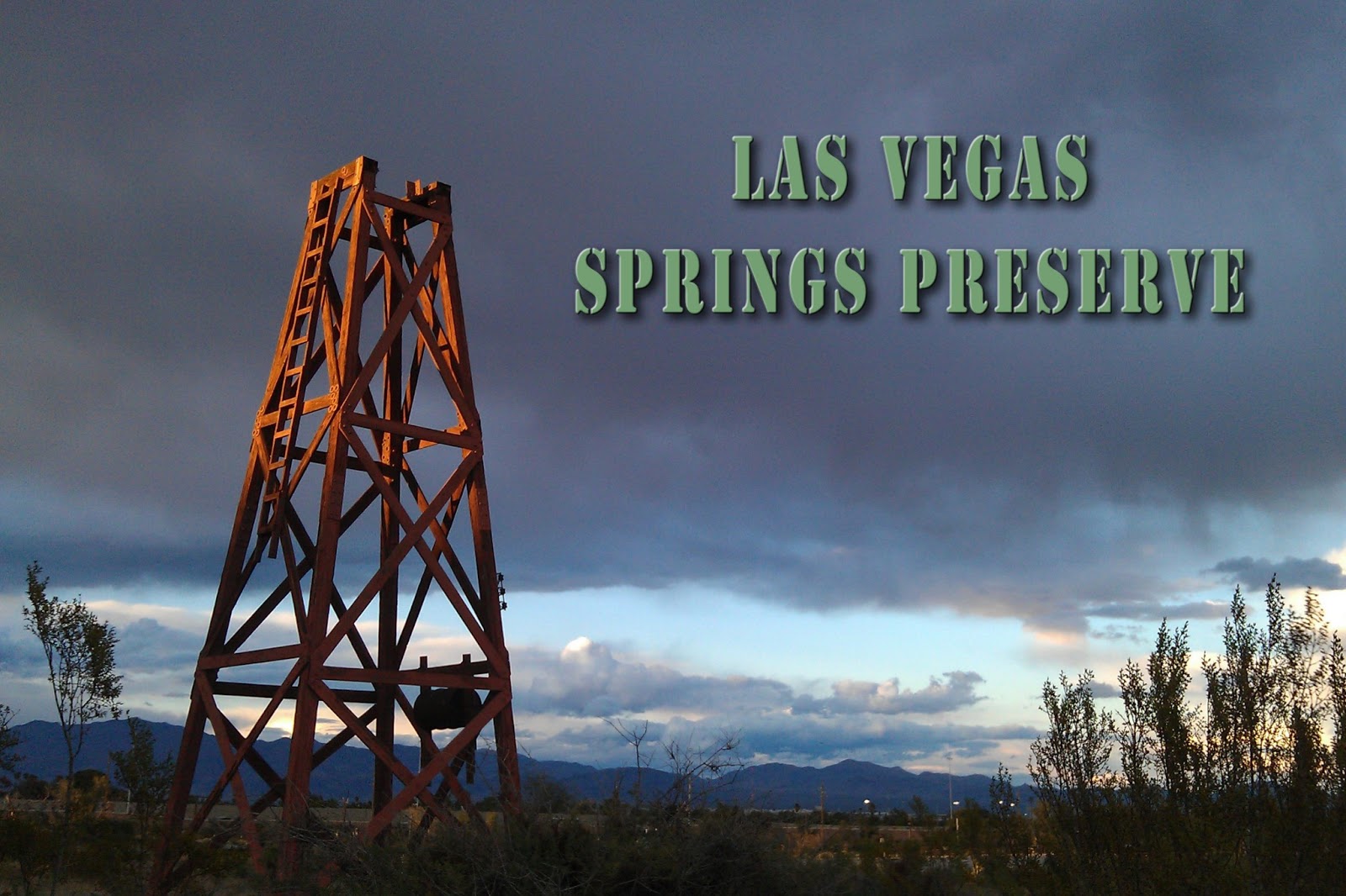 One Postcard a Day: The World Day to Combat Desertification