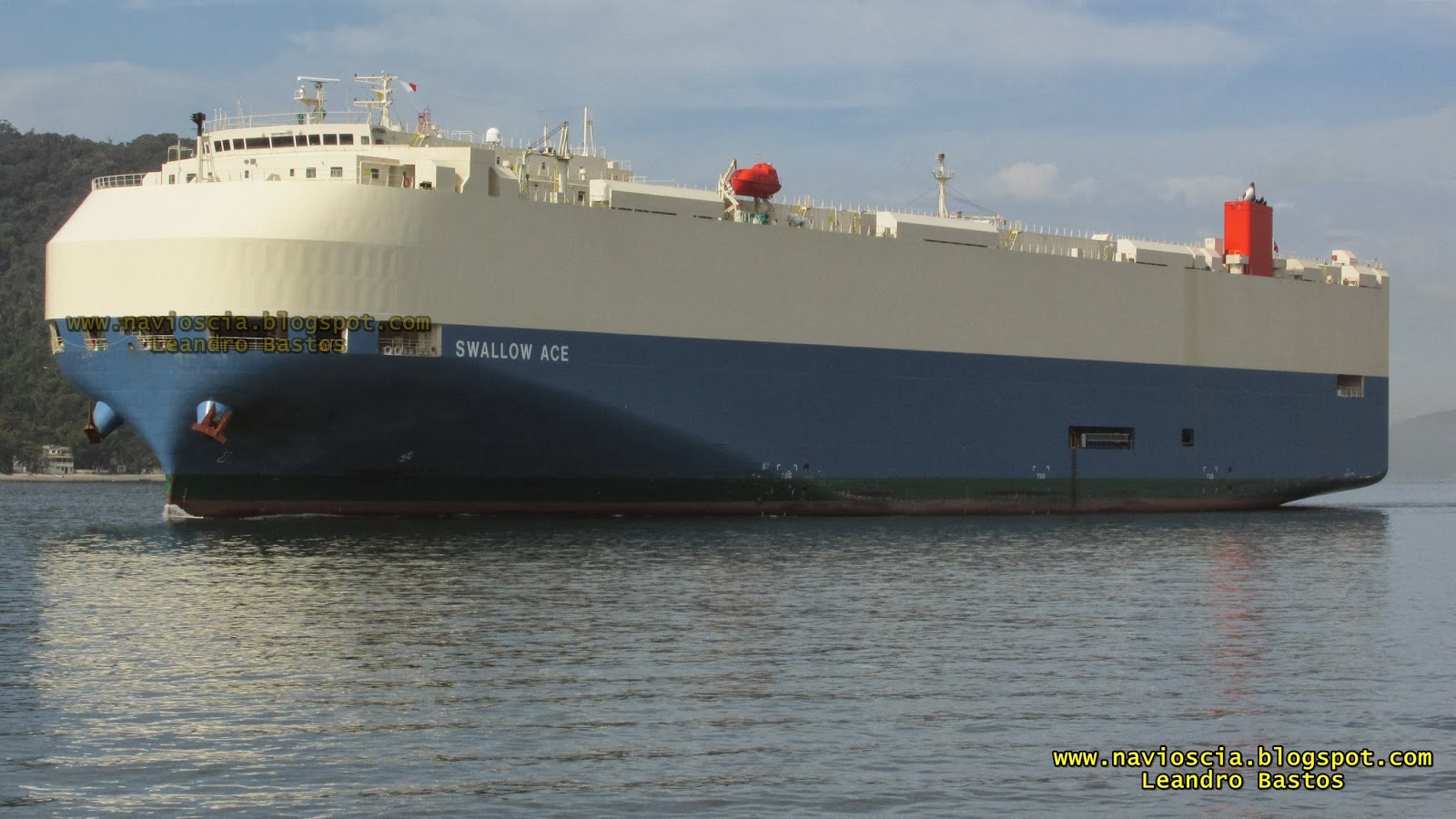 Navios de Santos & CIA: Navio SWALLOW ACE