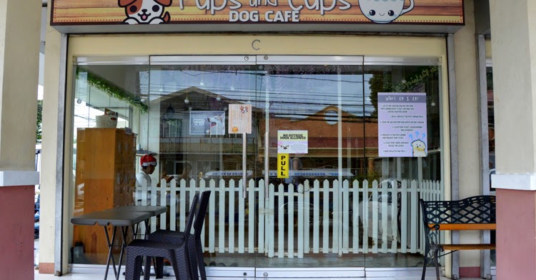 Frenz Fries: Pups and Cups Dog Cafe