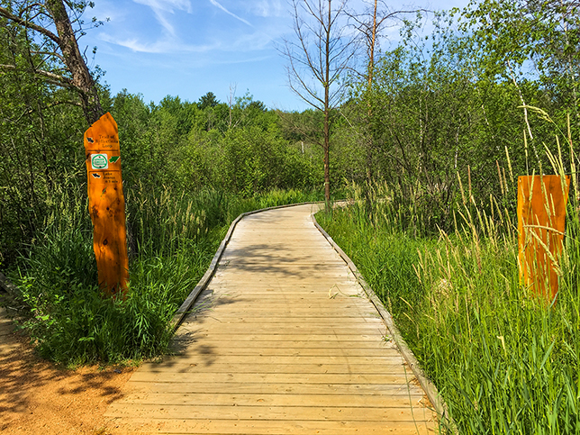 Biking the Green Circle Trail in Stevens Point