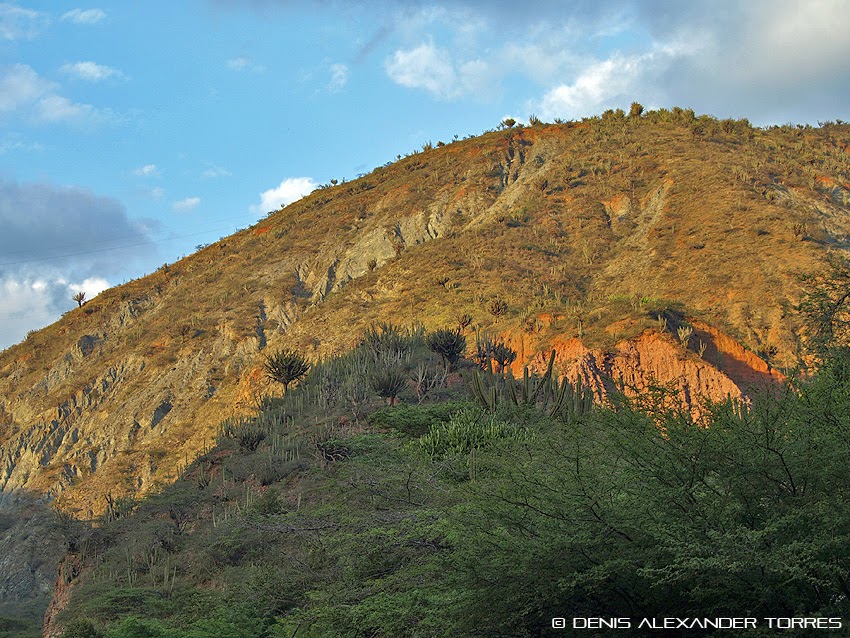 VISION TORRES - IMAGENES DE NUESTRO MUNDO: LOS VALLES SECOS DE MÉRIDA ...
