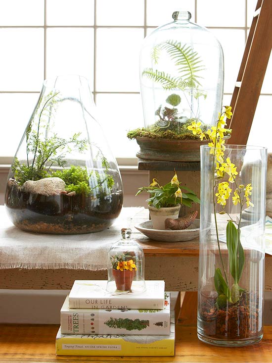 beyond the aisle: home decor trends: terrariums