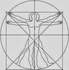 The Human Body As Metaphor For Functional Architecture: 04 - The Human ...