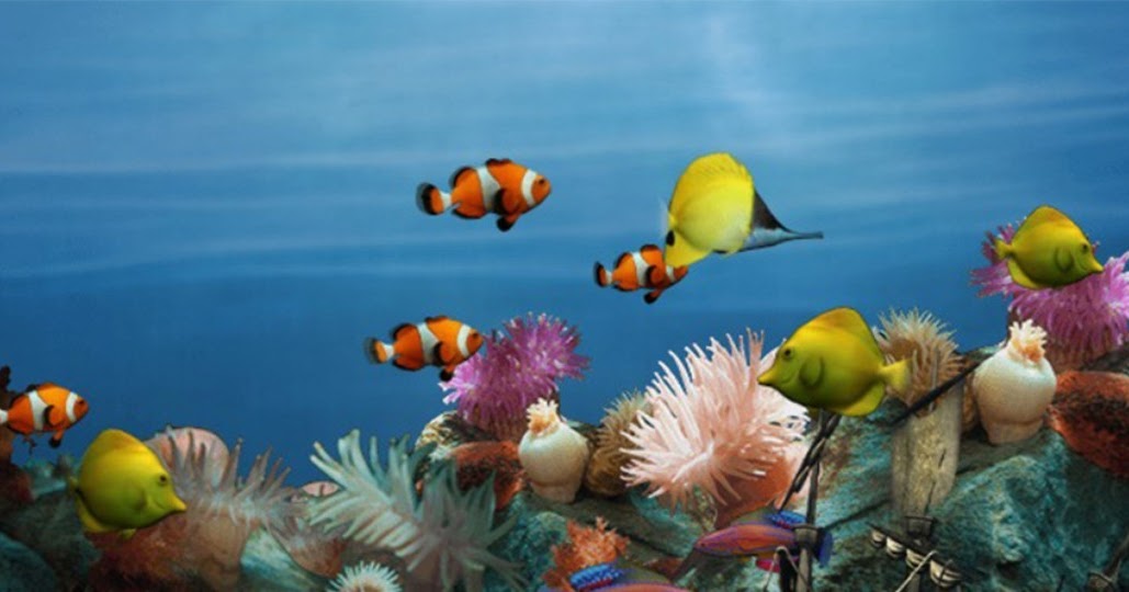 SCIENCE UNIT 3: FISH (Study at home)