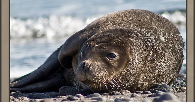 ΣΧΟΛΙΑΣΤΗΣ ΤΗΣ ΥΔΡΑΣ - ΠΕΡΙΒΑΛΛΟΝ / ΟΙΚΟΛΟΓΙΑ: Ενημερωτική εκδήλωση με ...