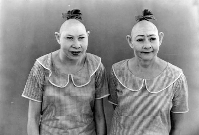 Filme: Freaks - 1932 | O Calafrio