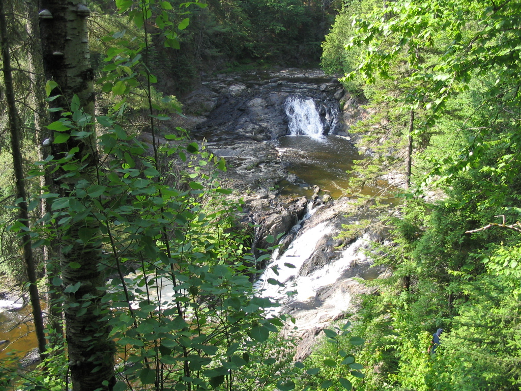 [Discussion] The Beast of Seven Chutes : r/Cryptozoology