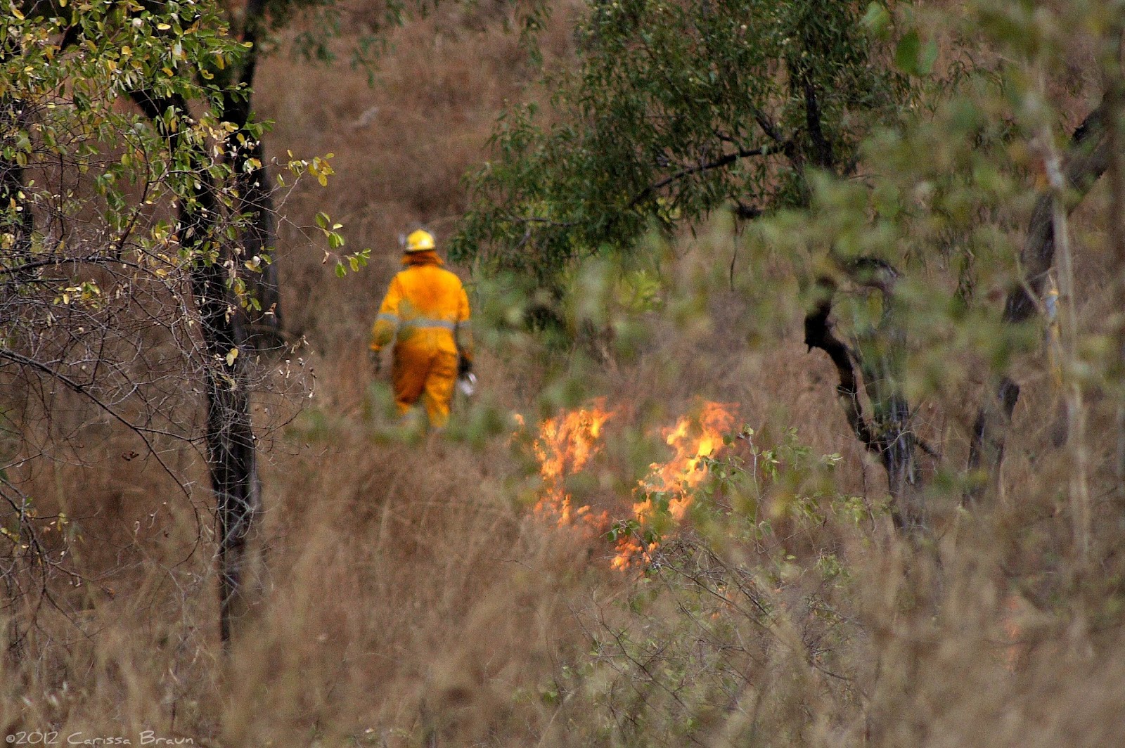Nature Photography and Facts : Fire and the Outback