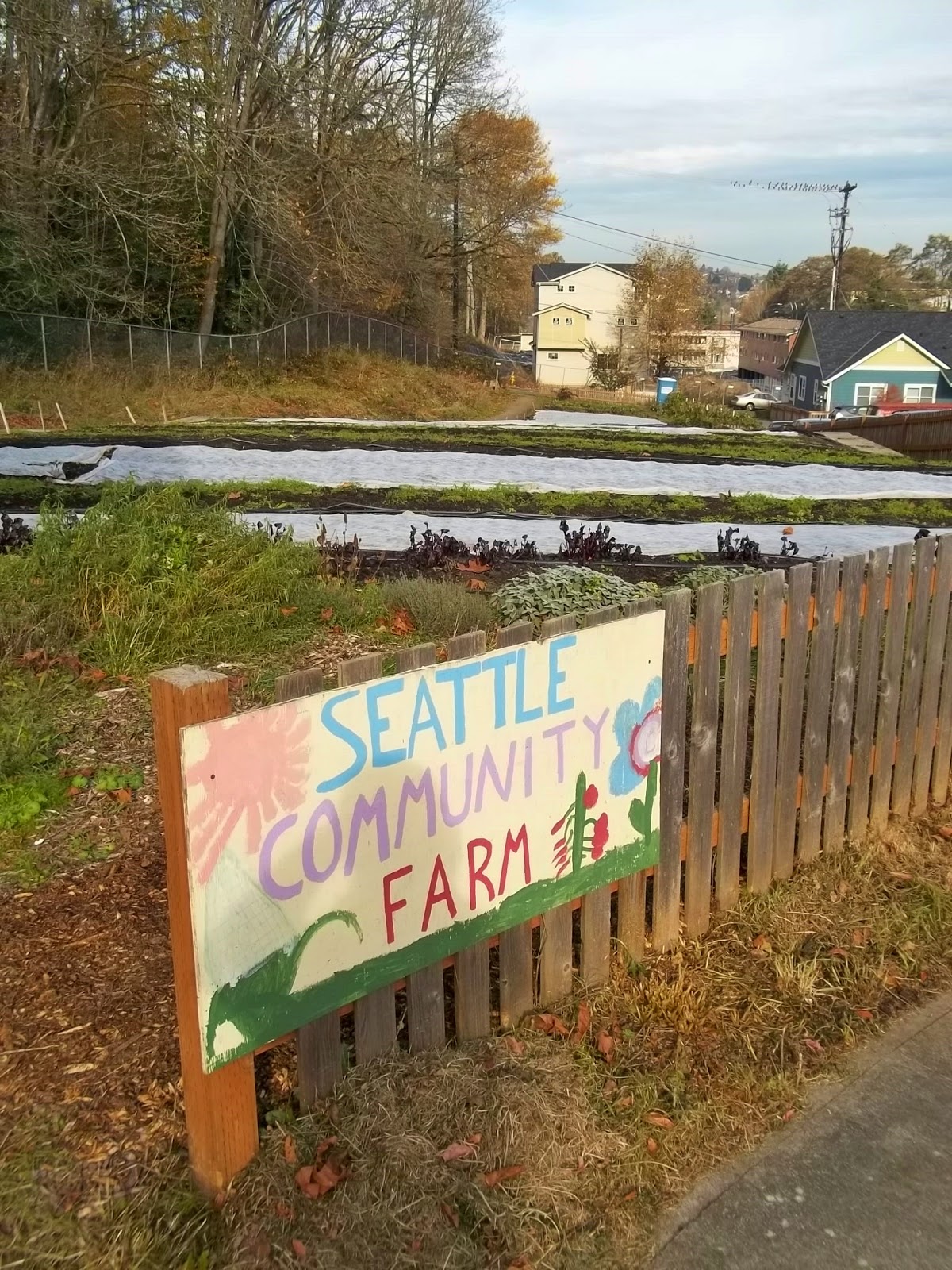 Urban Landscape, Native Landscape: Seattle Community Farm at Rainier Vista