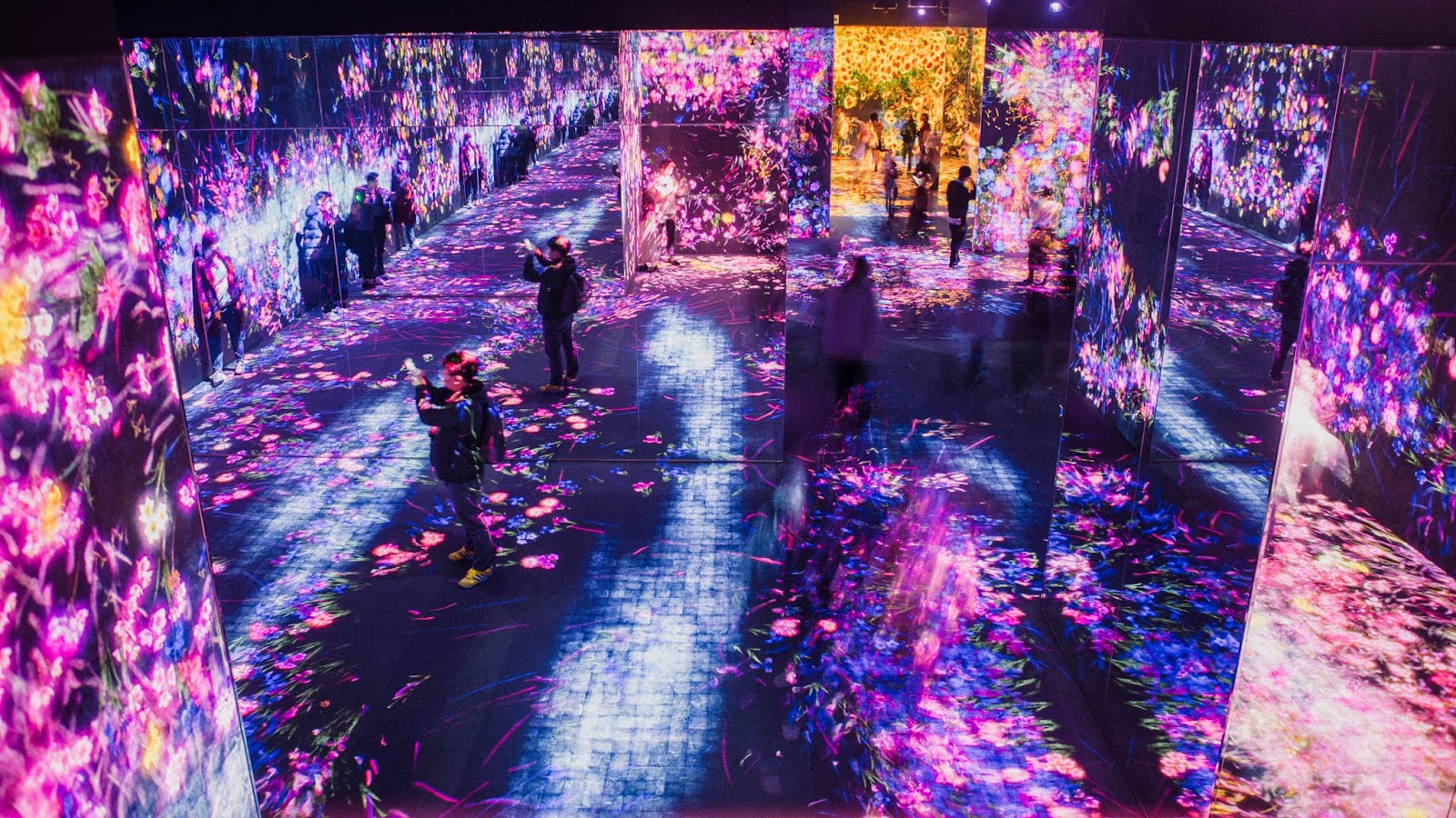 Japan in December (part 3) - Borderless Digital Art Museum ...