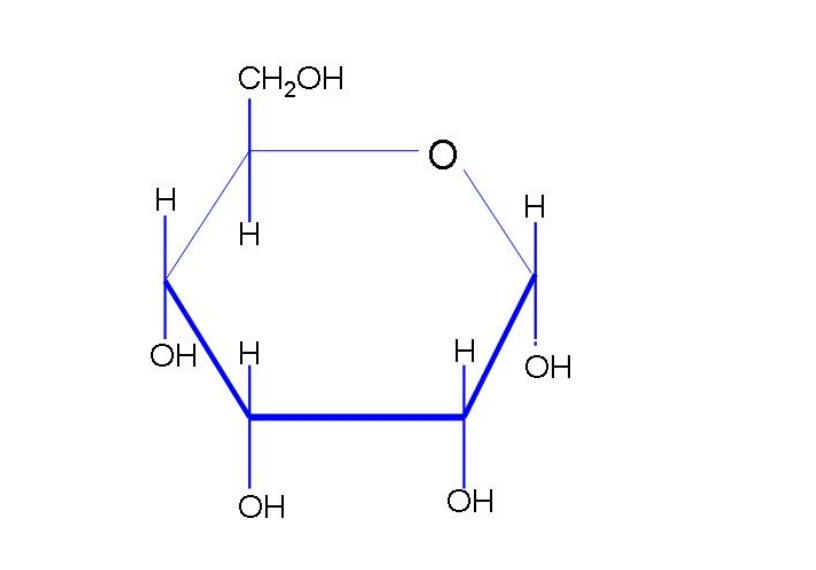 BIOLOGÍA 1Bachillerato OJA