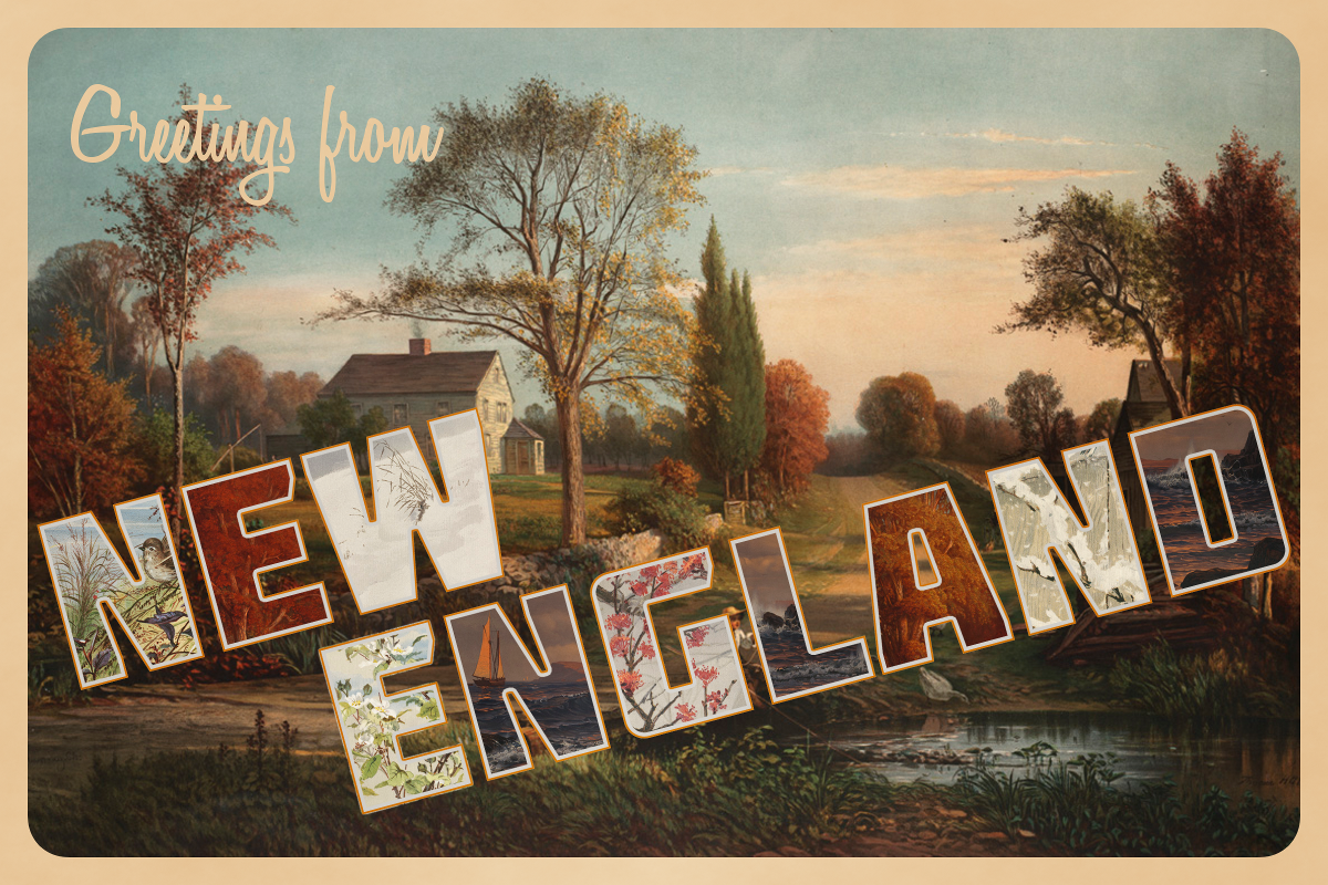 Anne's Creative Cornucopia: "Greetings from New England" - Tourist Postcard
