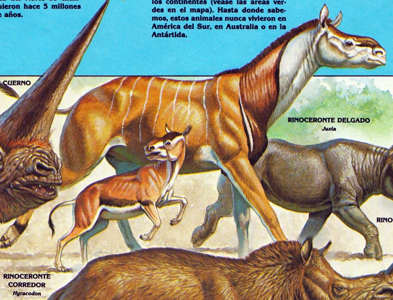 Koprolitos: ZOOBOOKS: Antepasados de los rinocerontes