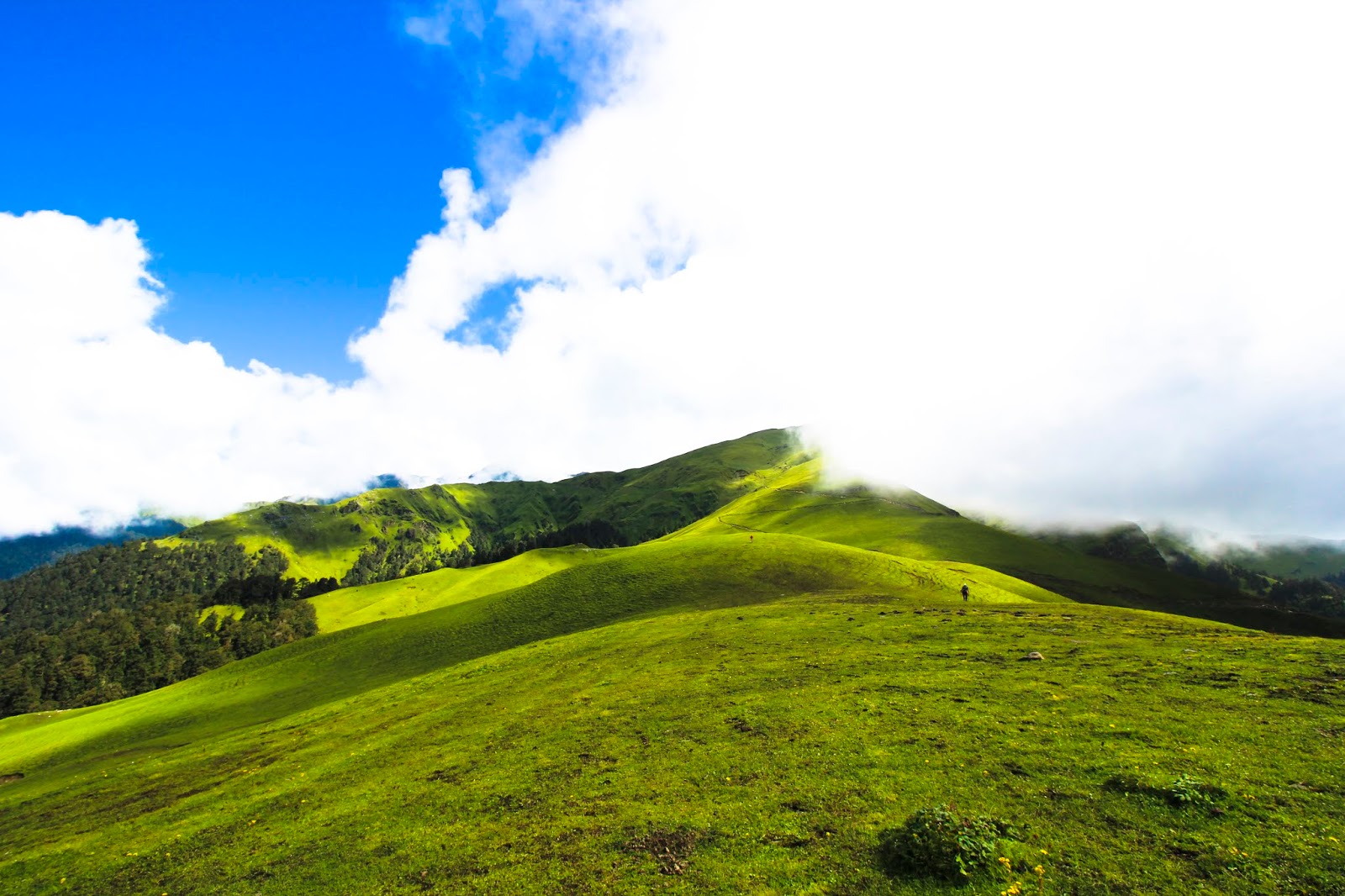 ROOPKUND TREK