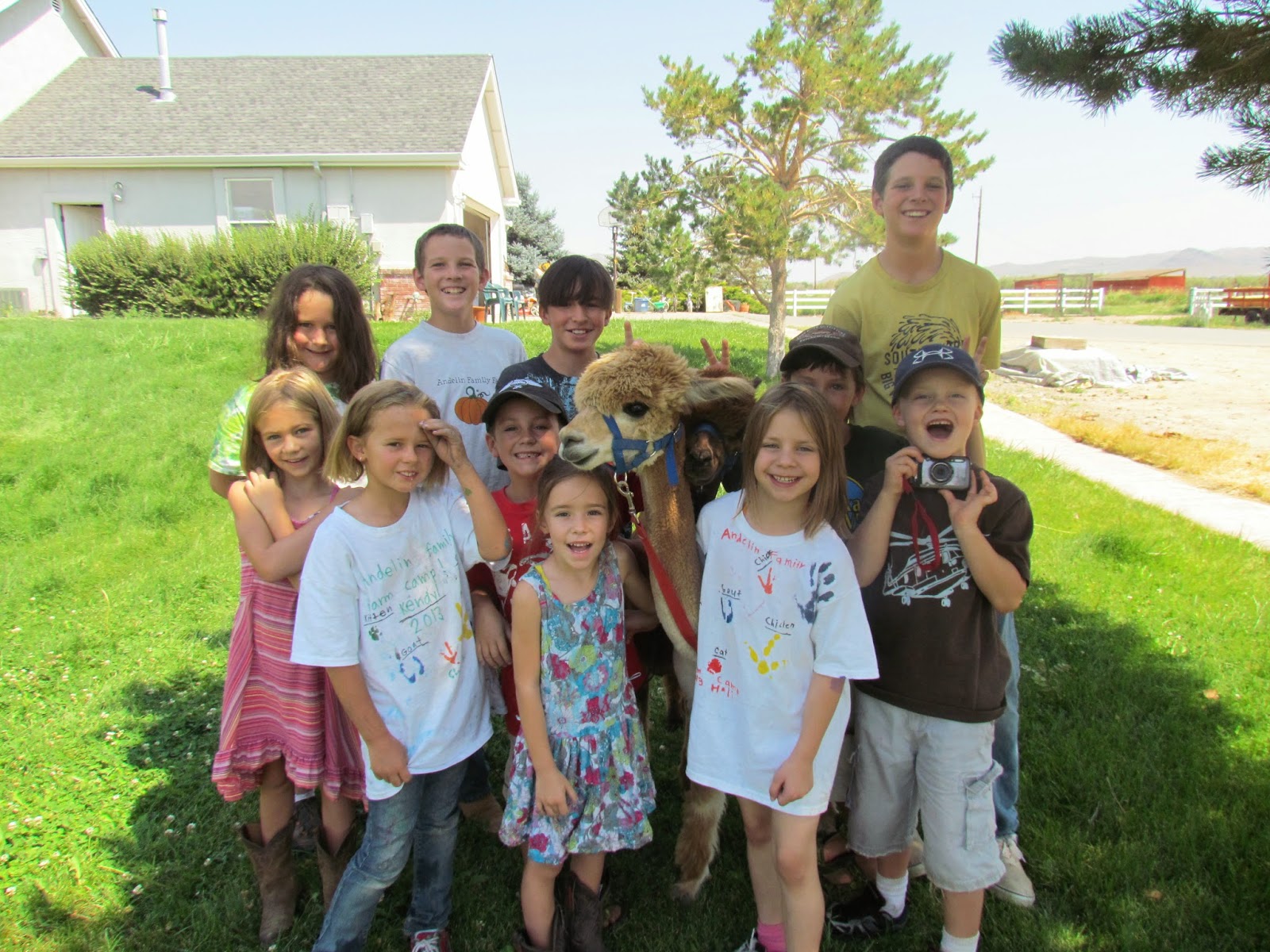 Andelin Family Farm: Summer Farm Camp!