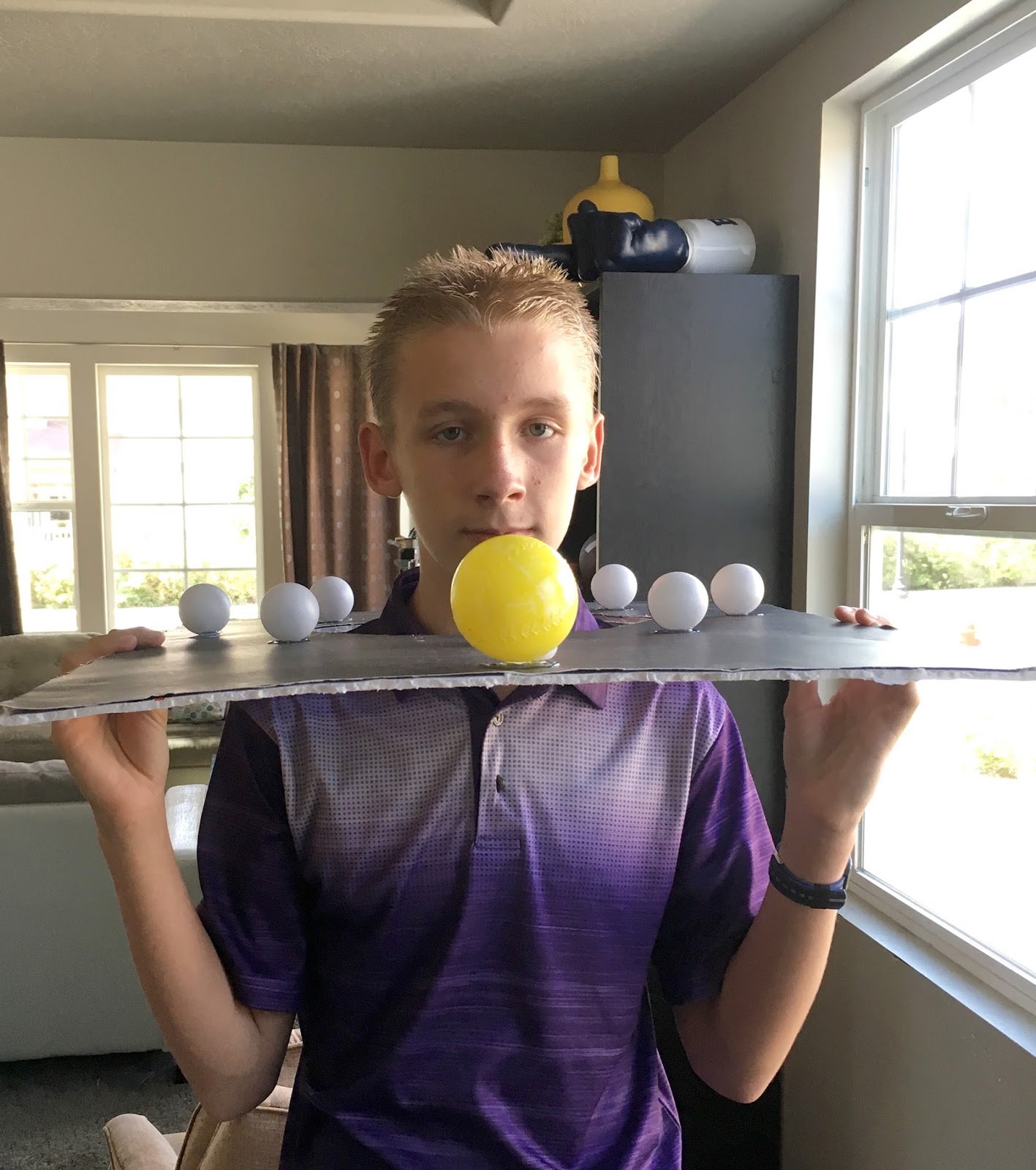 A school of fish: Sun and Eclipse Unit Study