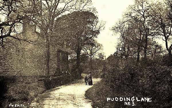 Hyde Cheshire Blog: Pudding Lane Views