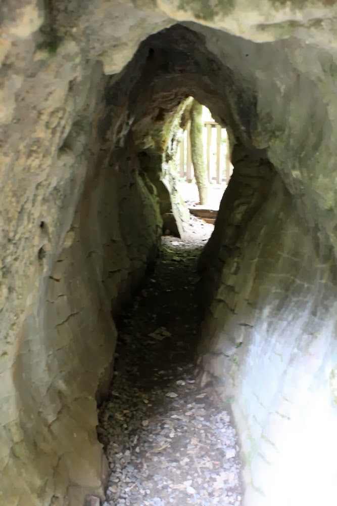 Tuesday, November 5, 2013