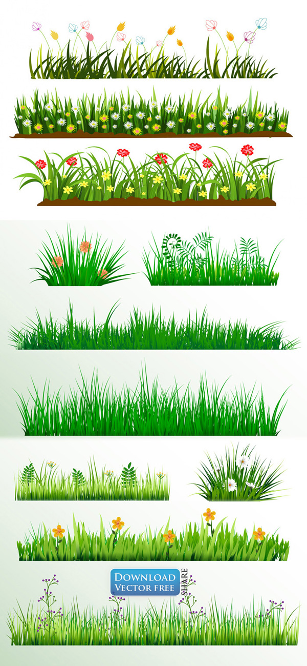 Đồ họa những mẫu trang trí viền hoa cỏ flowers grass borders vector ...