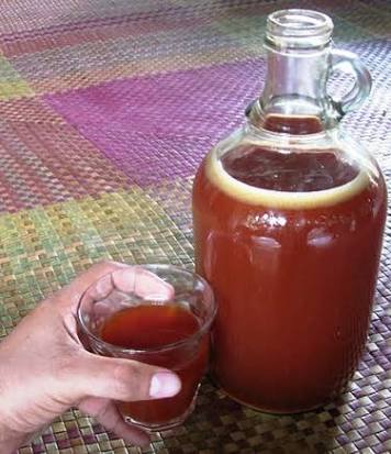 Bohol Tourist Spots: PHILIPPINES "TUBA" COCONUT WINE