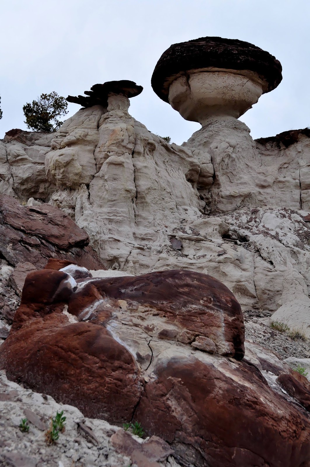 Les voyages de Michèle et Jean-Michel: Lybrook Badlands