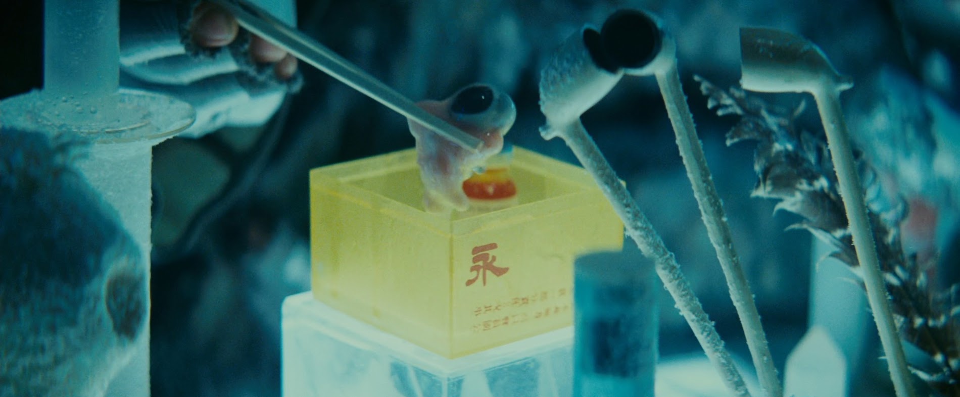 The Beautiful Film Frames: Blade Runner (1982) Blu-Ray Screenshots