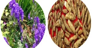 Jammu and Kashmir Medicinal Plants Introduction Centre: benefits of ...