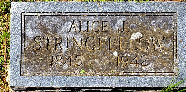 Life at Spotted Apple Farm: A study in spiritualism - the spirit ...