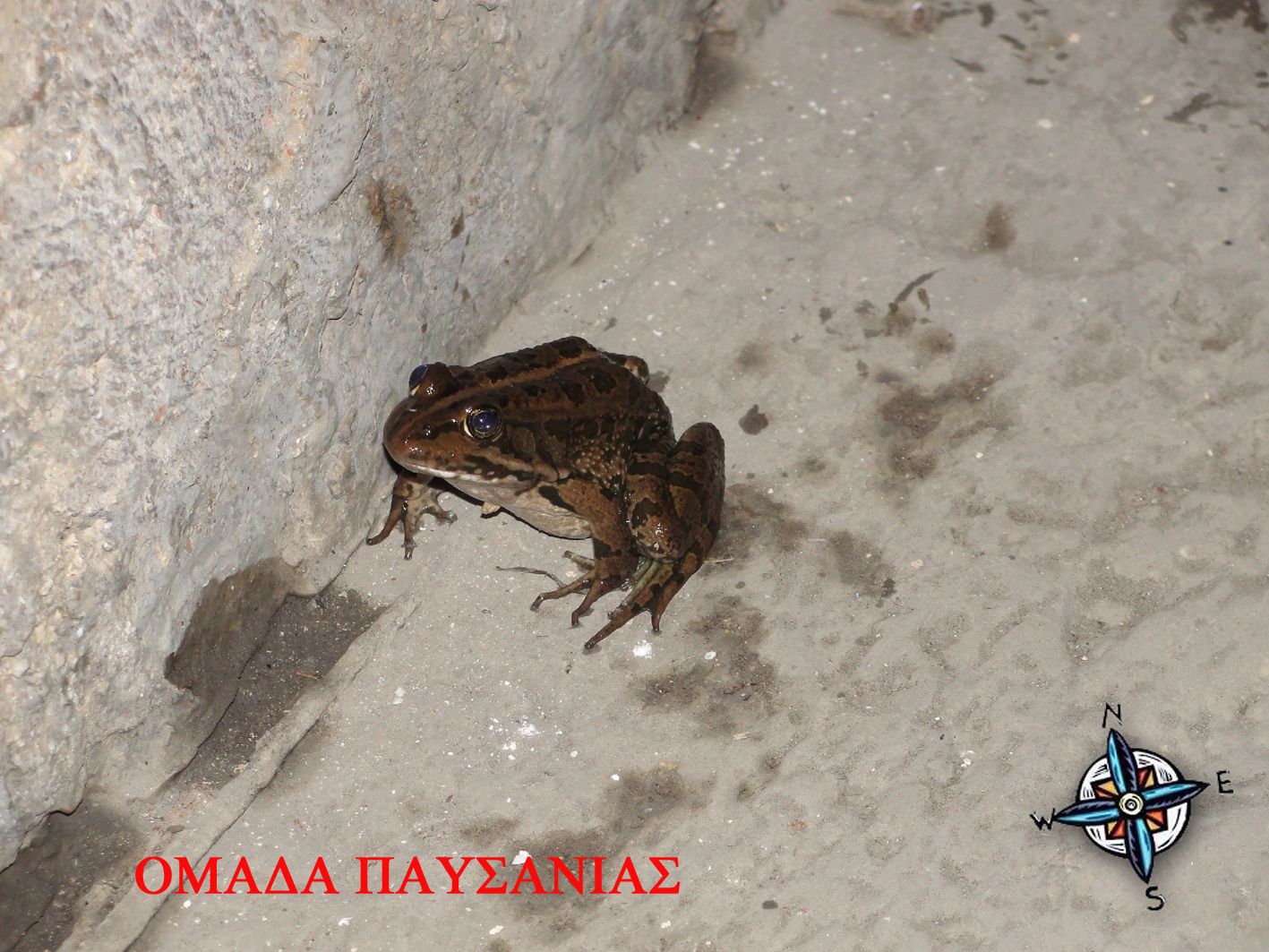 ΟΜΑΔΑ ΠΑΥΣΑΝΙΑΣ: ΟΔΟΙΠΟΡΙΚΟ ΣΤΟ ΡΕΜΑ ΤΗΣ ΠΙΚΡΟΔΑΦΝΗΣ(ΥΠΟΓΕΙΟ ΤΜΗΜΑ)
