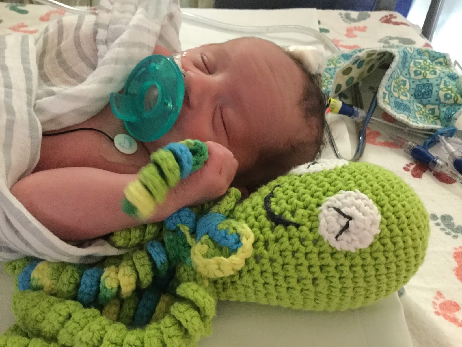 Destined2Knit: Octopus for a Preemie