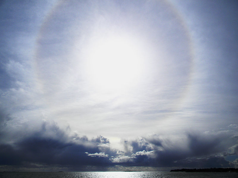 Angels for You: A Halo: An Angel Message