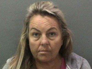 Fraud Talk: California Woman Pleads Guilty To Embezzling $100K From ...