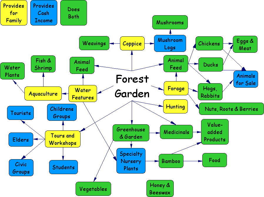 A personal forest, Part 2 - resilience