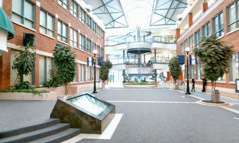 Executive Dissertations: April 2015