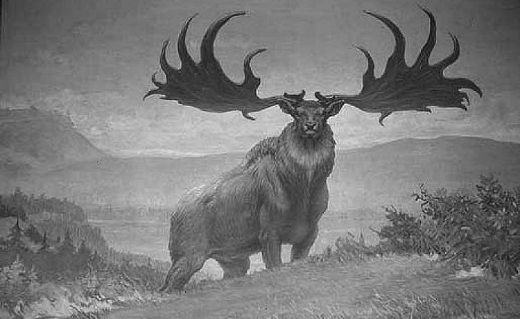 Maestros del relato: El alce, cuento de Edgar Allan Poe