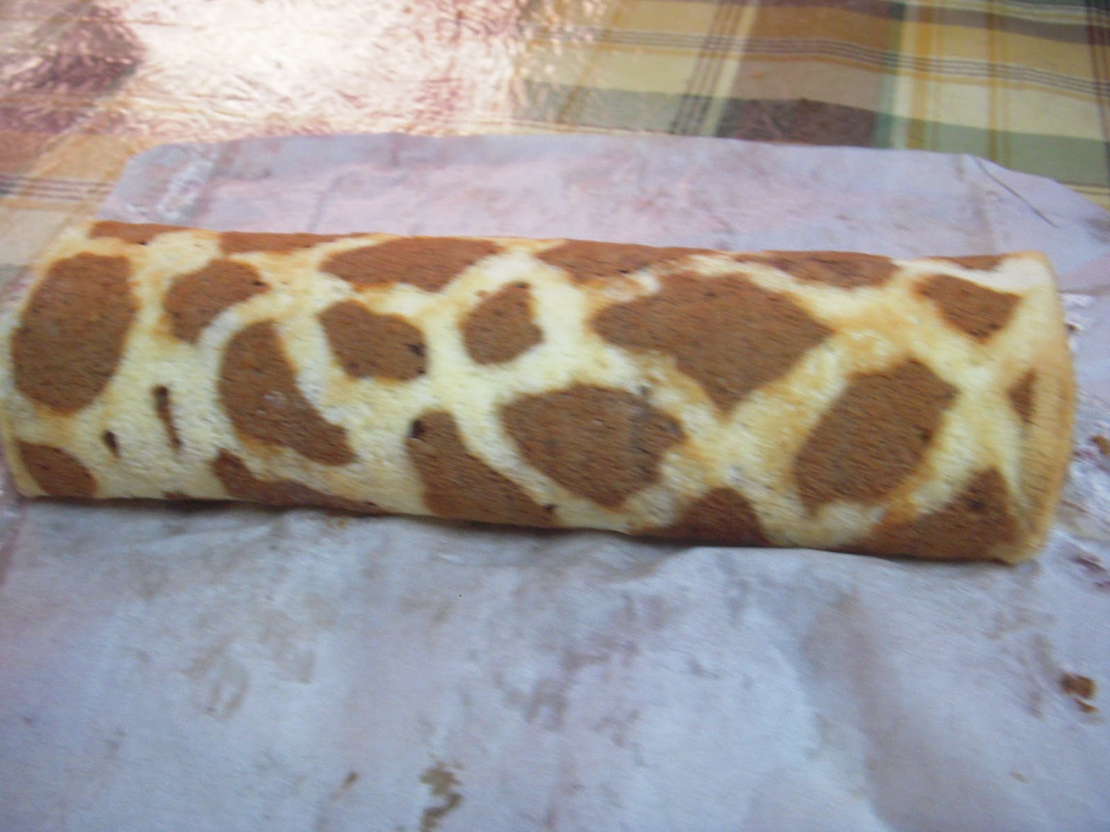 3N Cakes : Zebra Swiss-Roll & Layer Cheezy