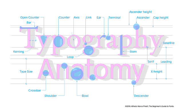The Beginner’s Guide to Fonts: Typeface Anatomy