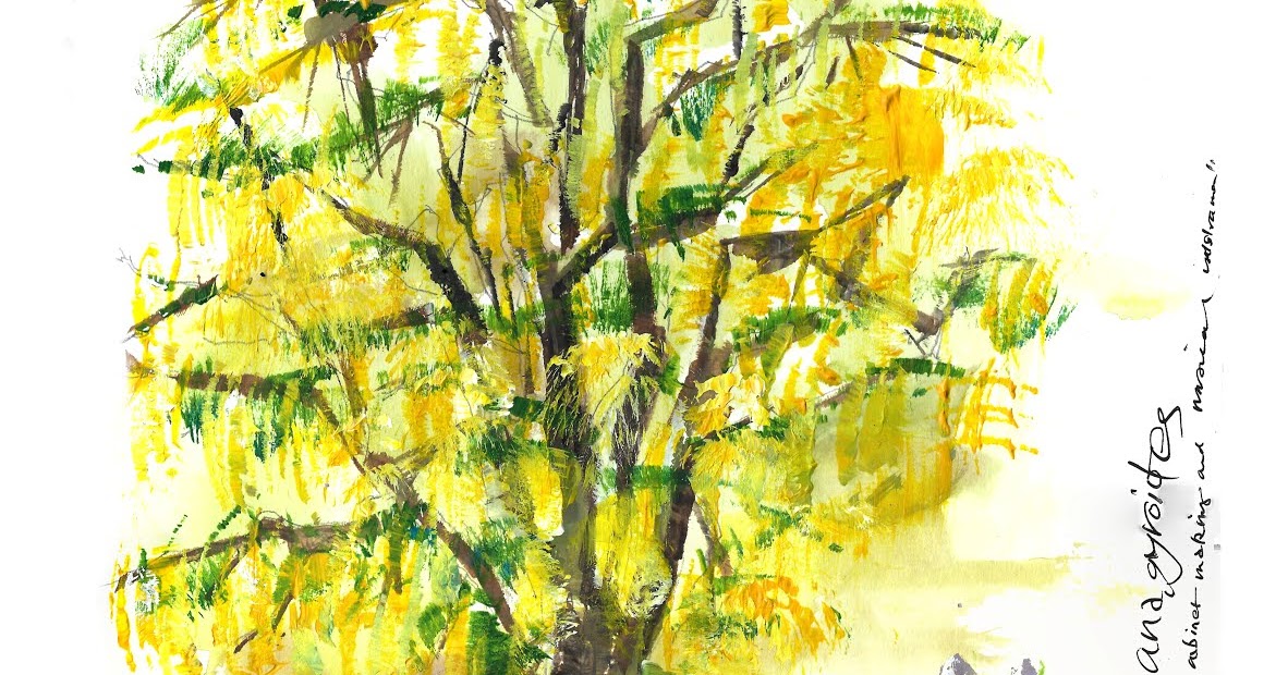 Tim Baynes Art: THE LABURNUM TREE