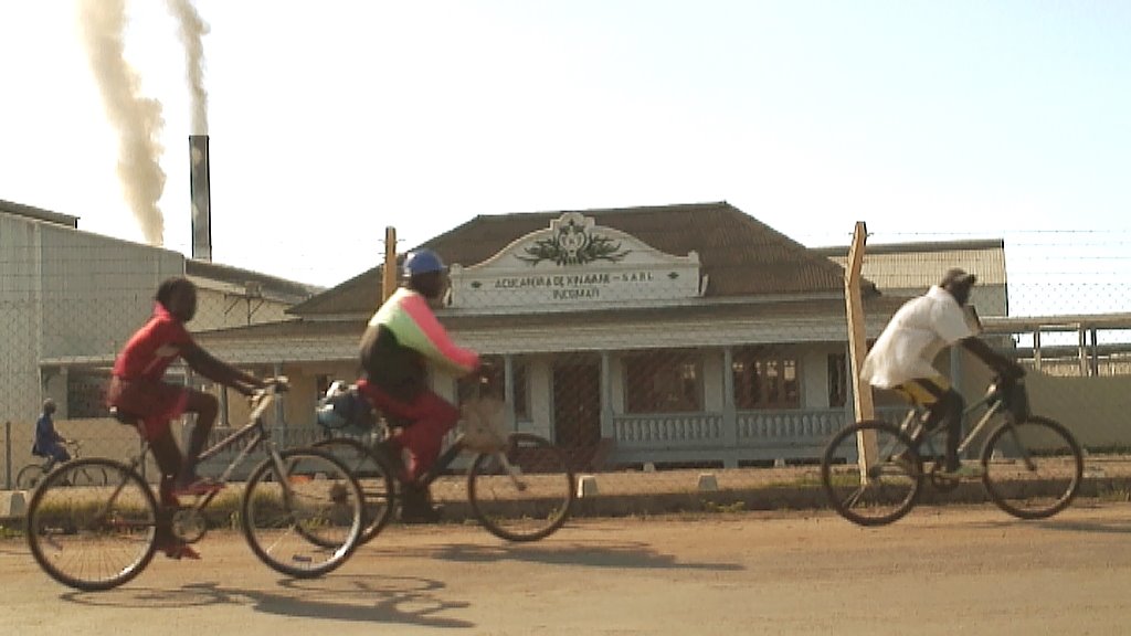 Xinavane, plantação de cana e fábrica de açúcar