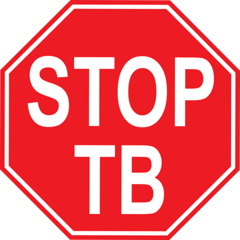 Informasi Tentang Tuberkulosis (TB) | bankjim