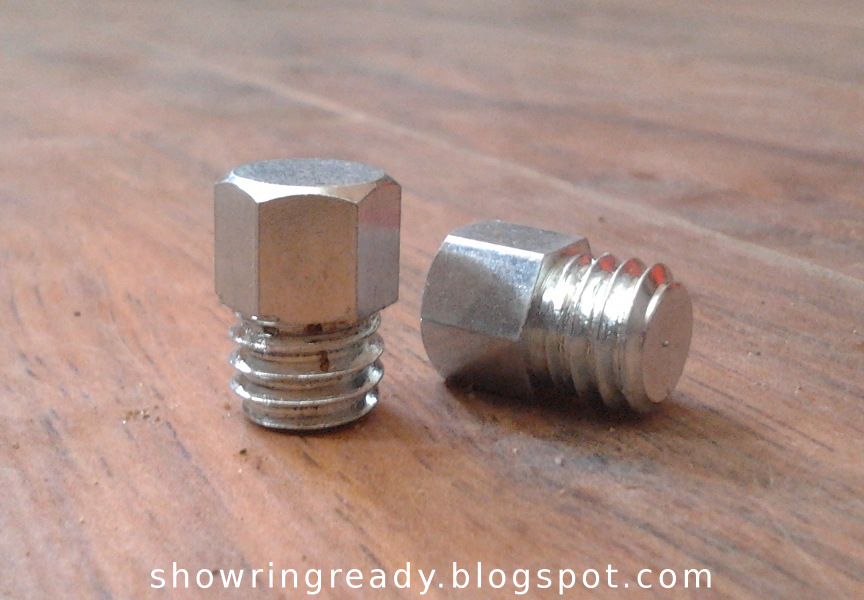 Show Ring Ready: Studs 101