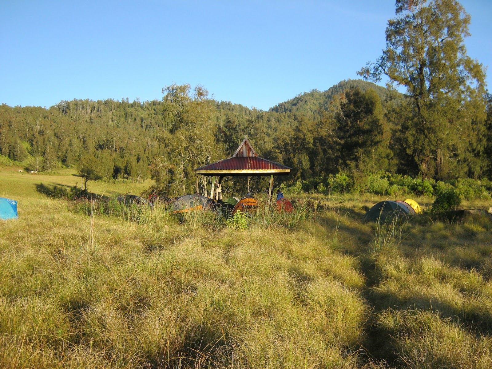 SETAPAK KECIL: Gunung Argopuro